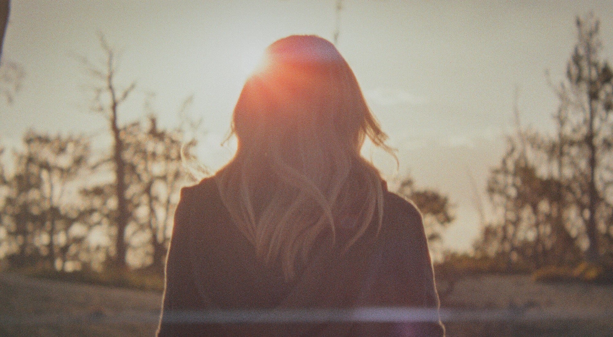 The Solaray Standards: Our Values in Action