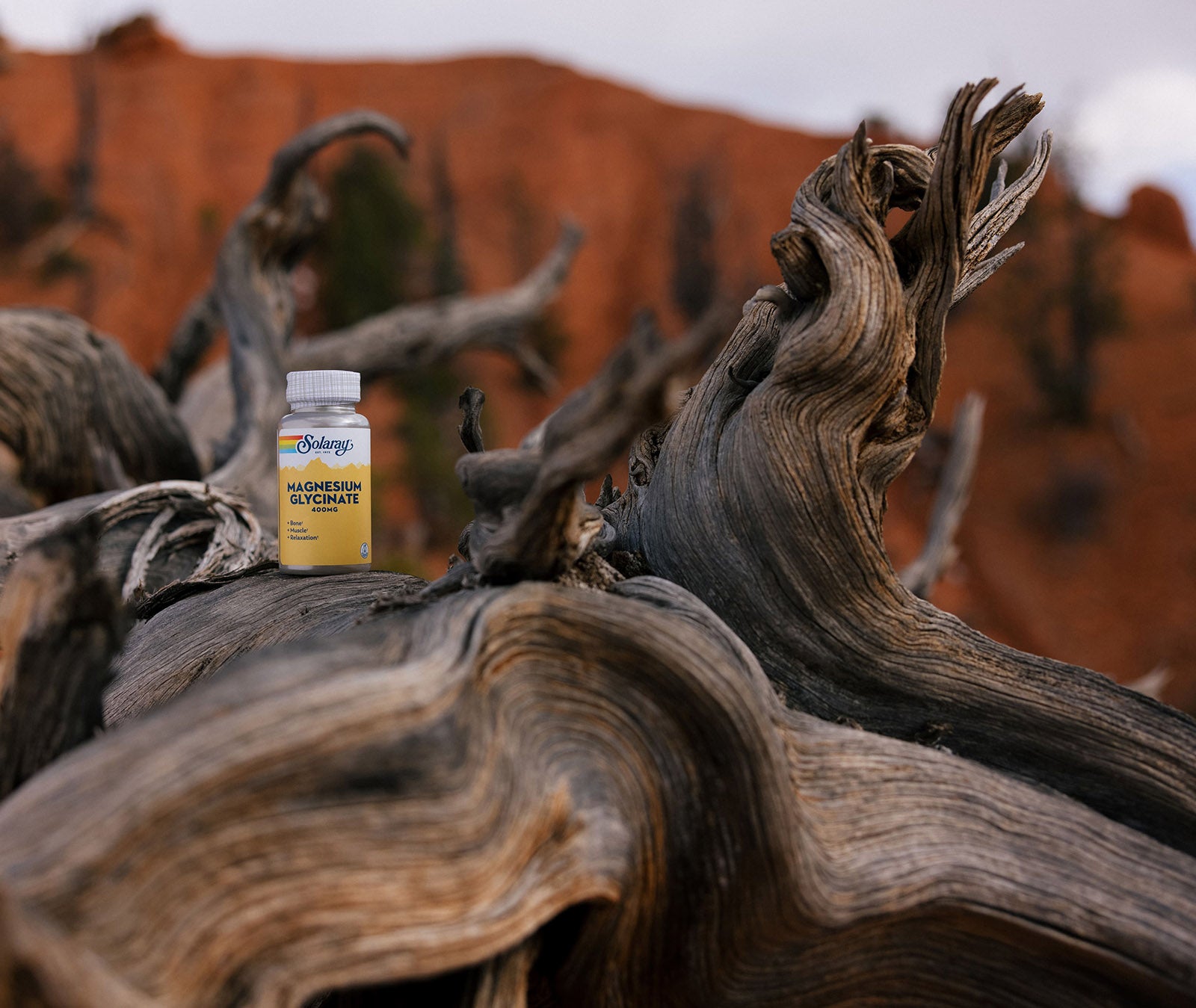 Magnesium – Solaray