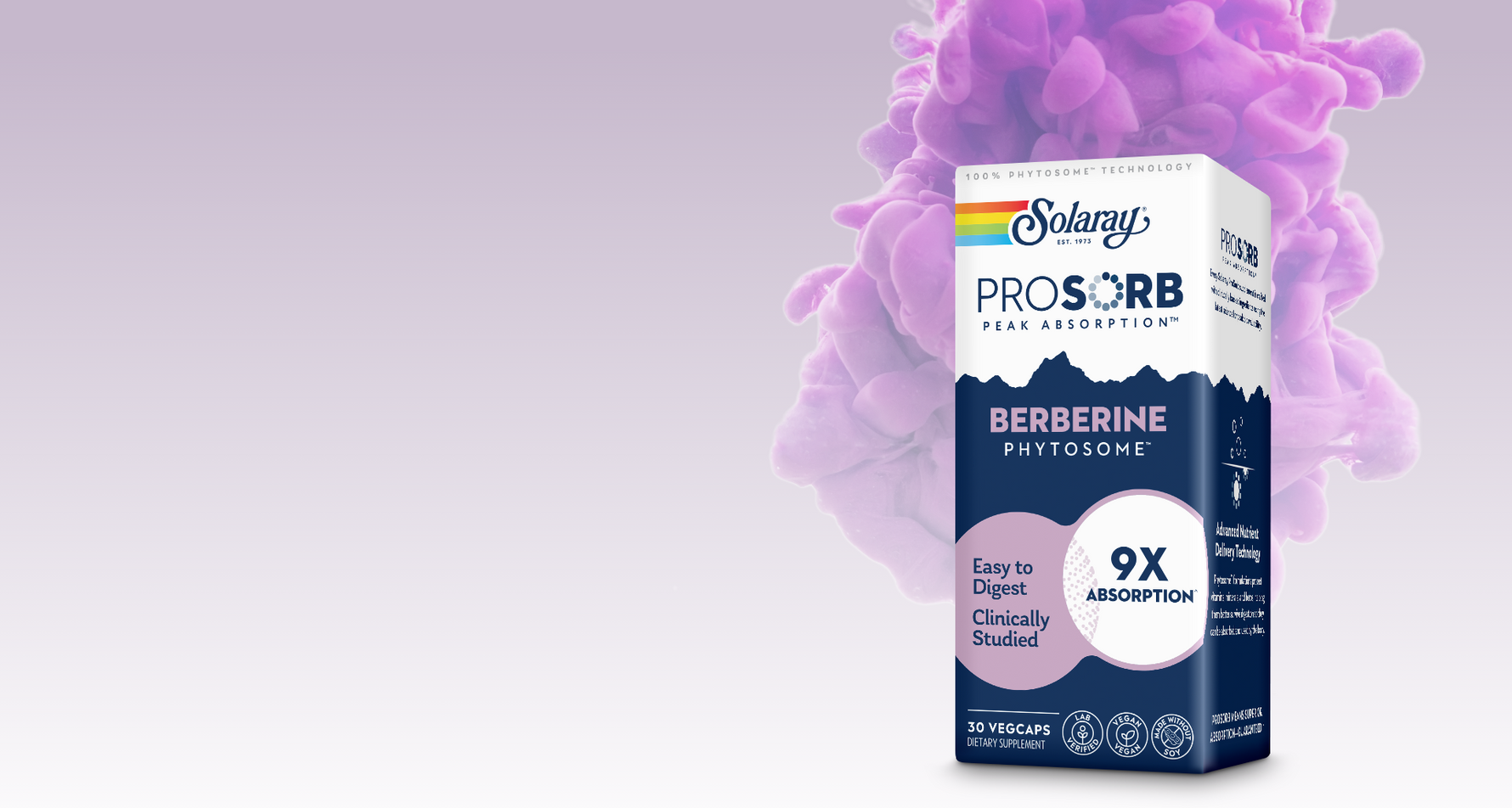 ProSorb Berberine 9x 550mg – Solaray