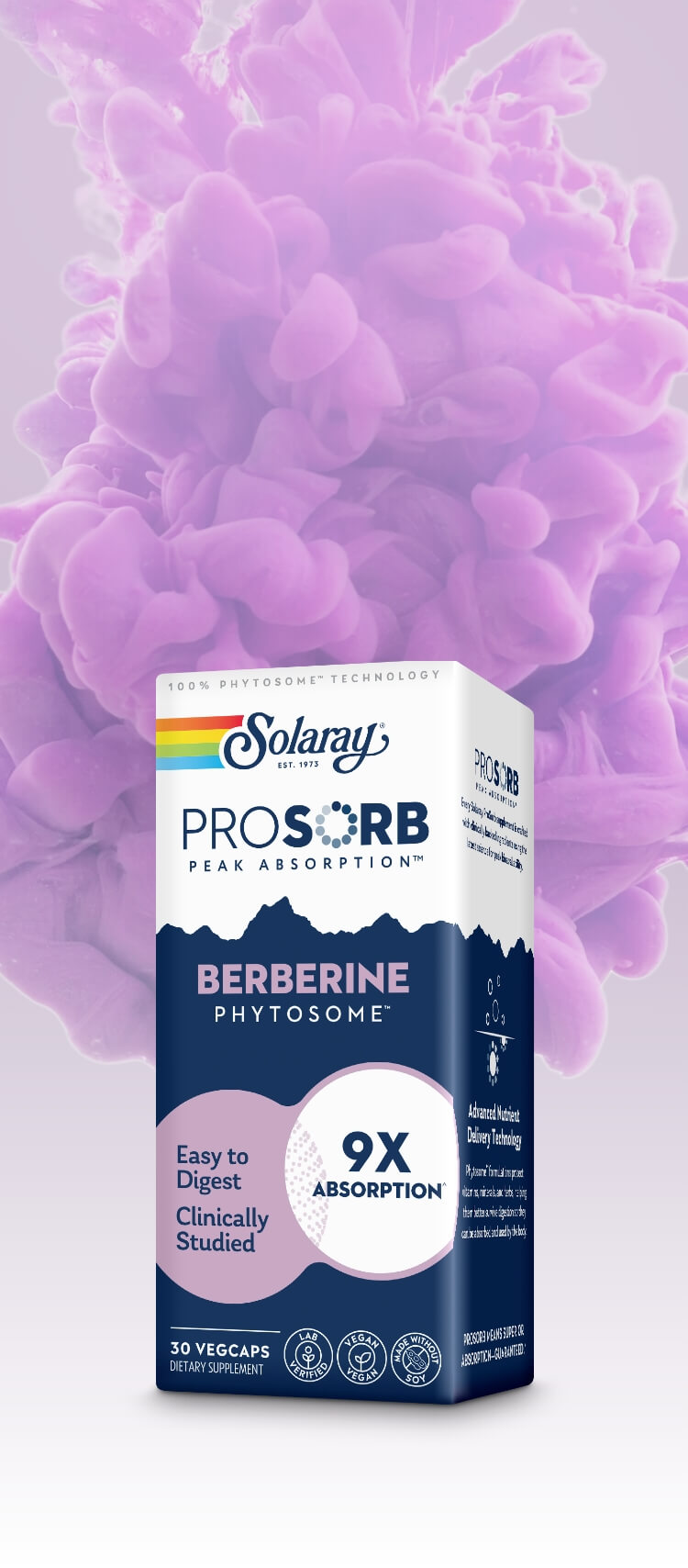 ProSorb Berberine 9x 550mg – Solaray
