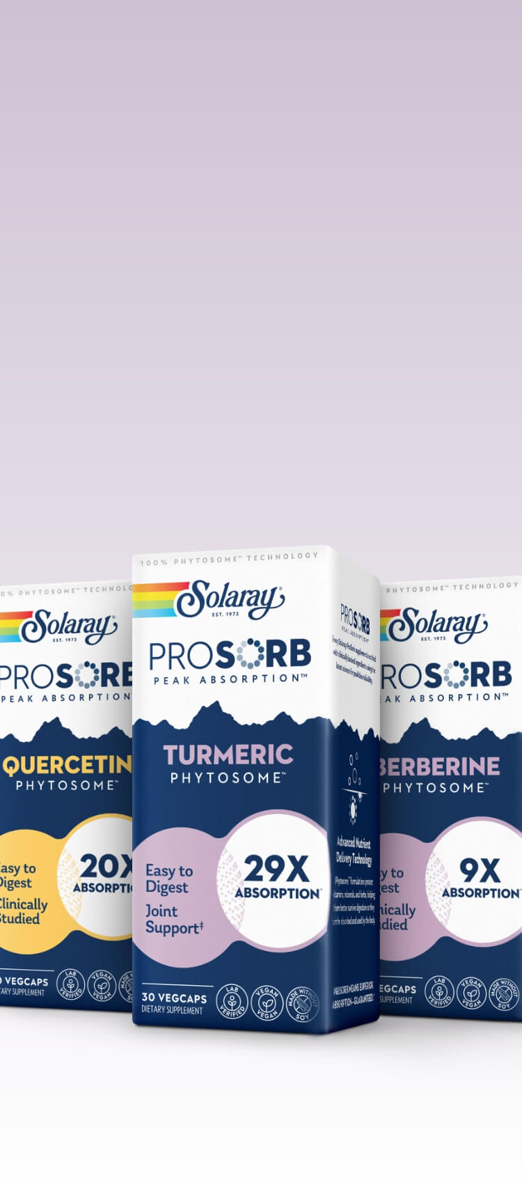 ProSorb Berberine 9x 550mg – Solaray