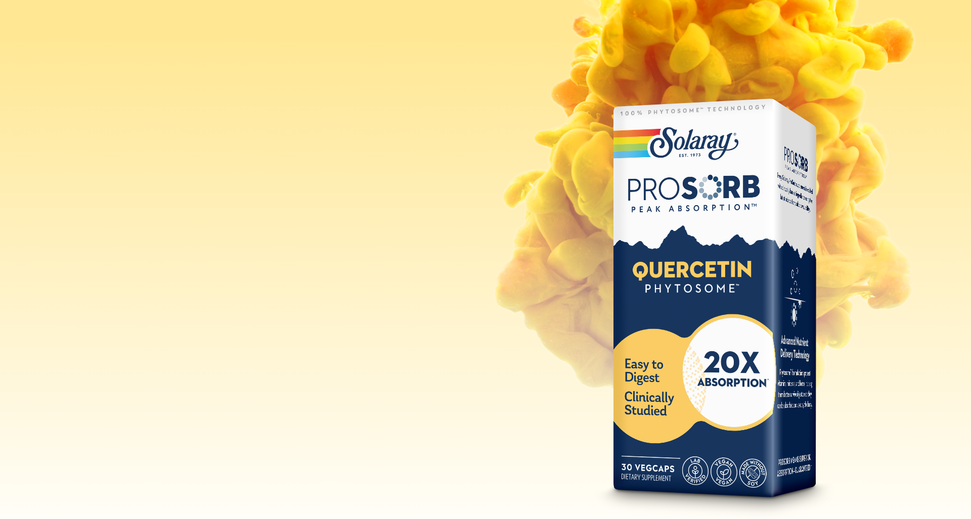 ProSorb Quercetin 20x 250mg – Solaray